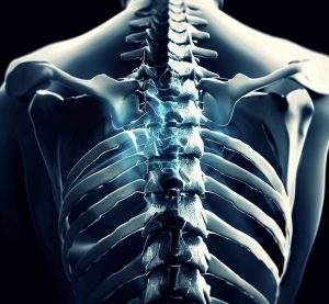Por que as vértebras estalam ? – Marcelo Barros